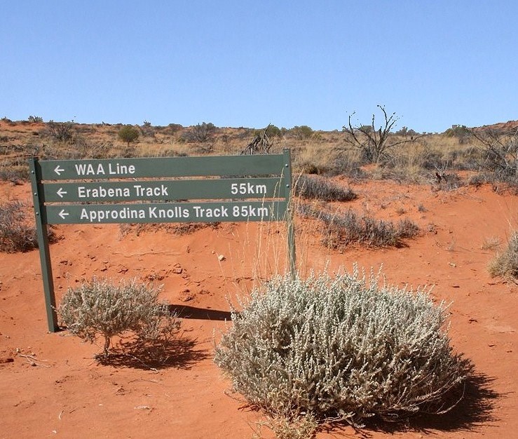 Simpson Desert WAA Line @ BOG Routes