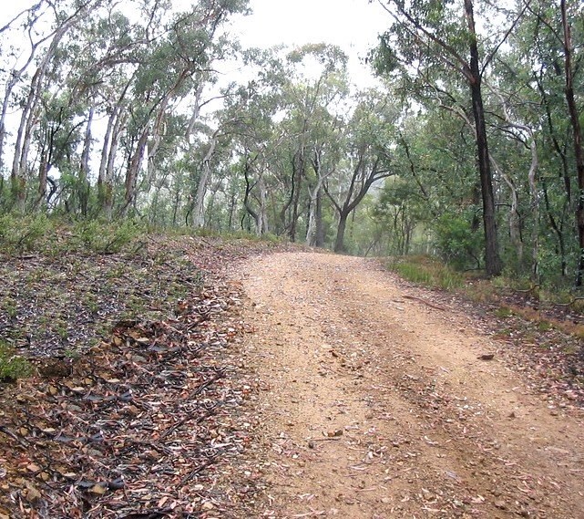 Tallaganda National Park @ BOG Routes
