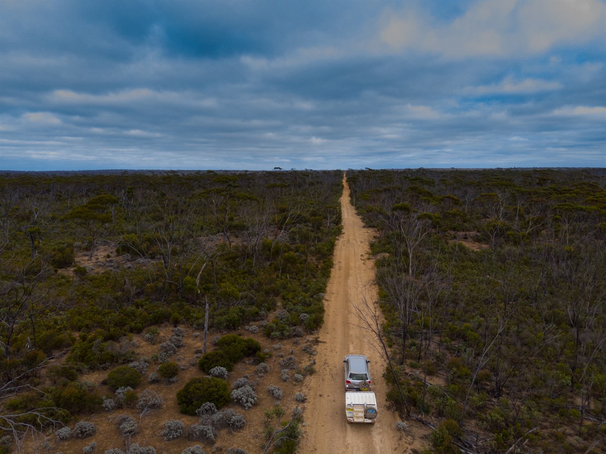 Norseman to Balladonia Overland Telegraph Track @ BOG Treks