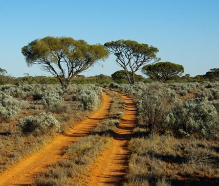 Rason Lake Road @ BOG Routes