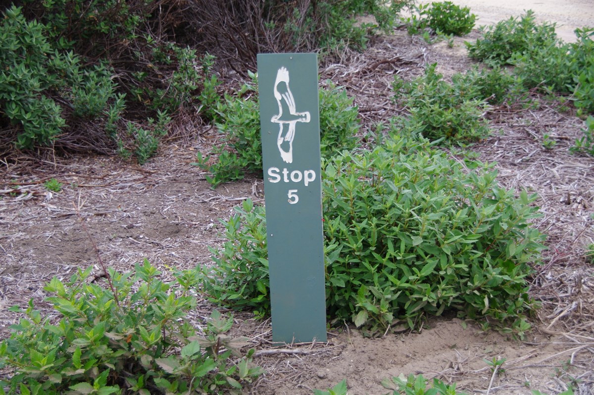 Self-guided Drive - Stop 5 SA @ BOG Places