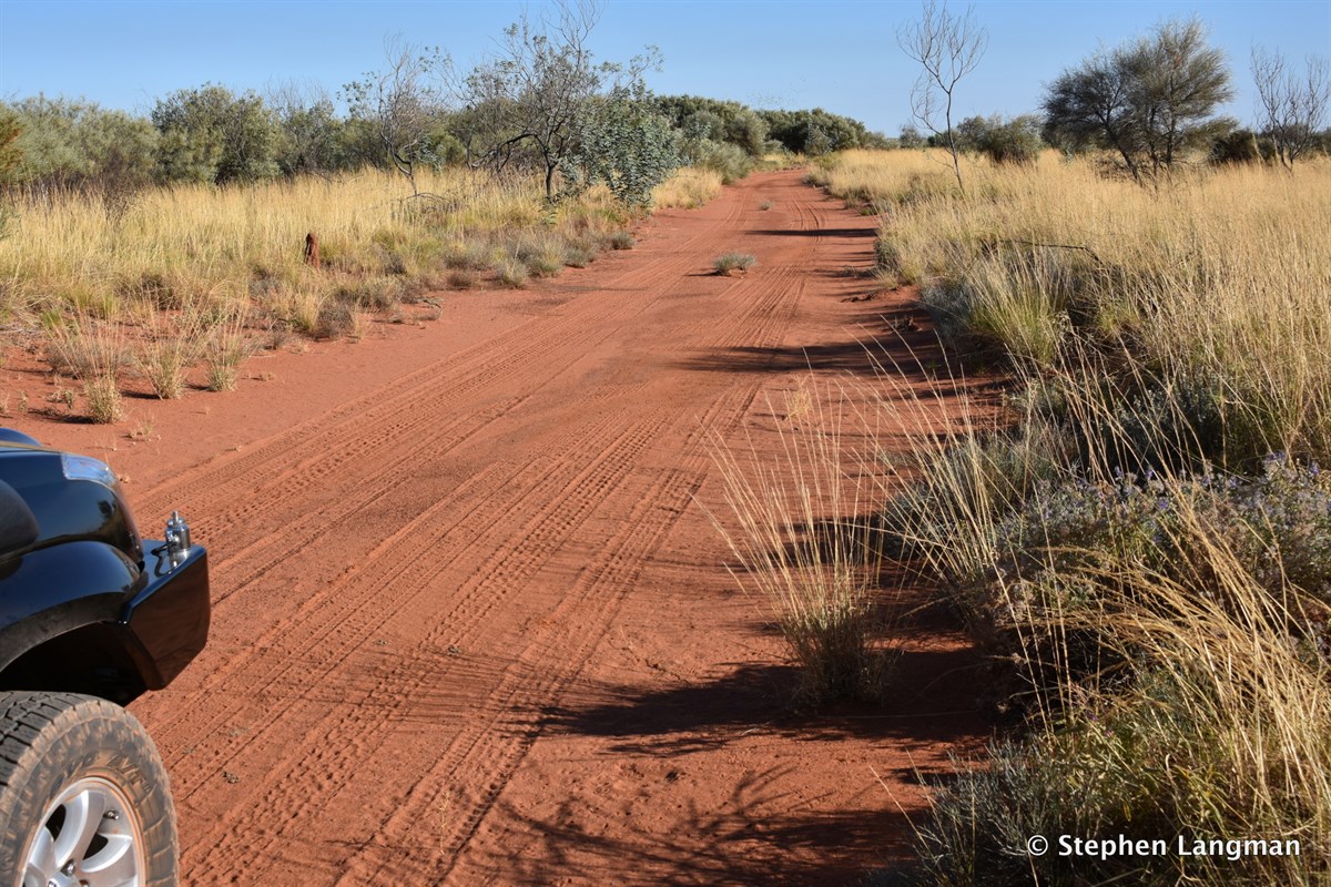Tanami Rd & Puyurra Access NT @ BOG Places