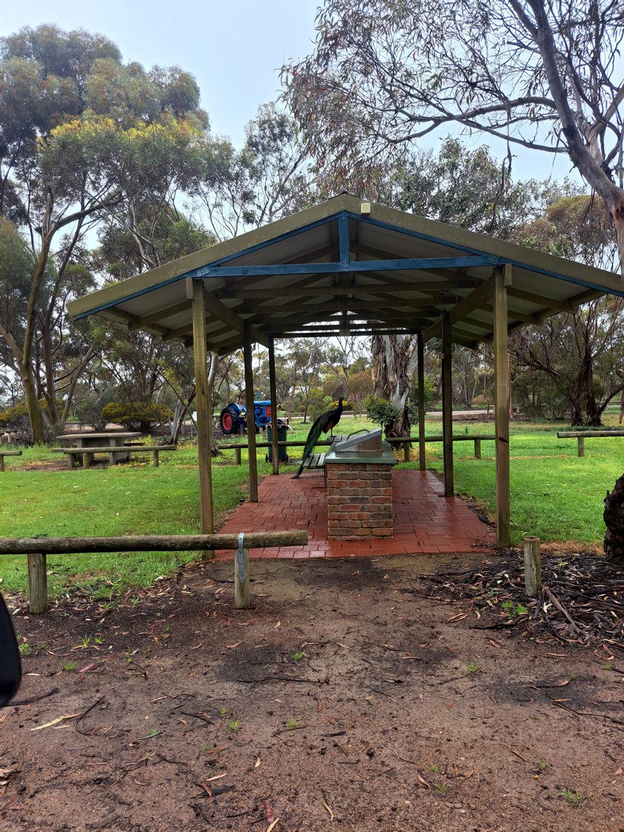 Bute Dump Point SA @ BOG Places