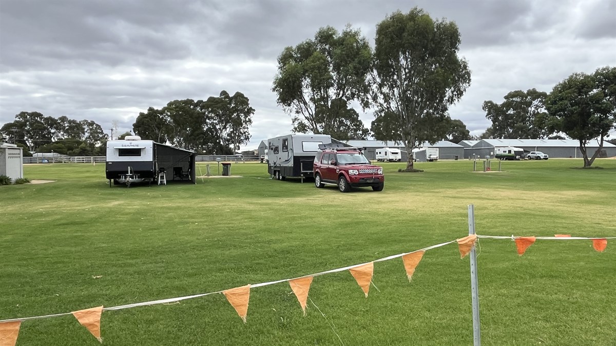 Naracoorte Showgrounds Camping SA @ BOG Places