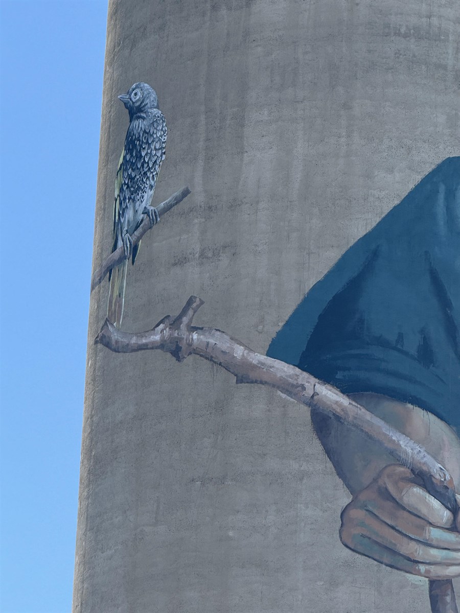 Silo Art - The Water Diviner - Barraba Silos by Fintan Magee NSW @ BOG ...