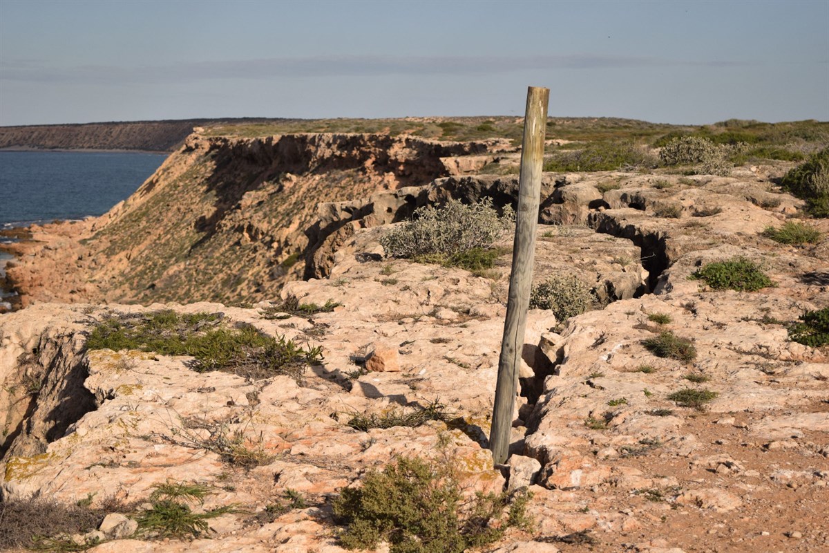 Cape Inscription WA @ BOG Places