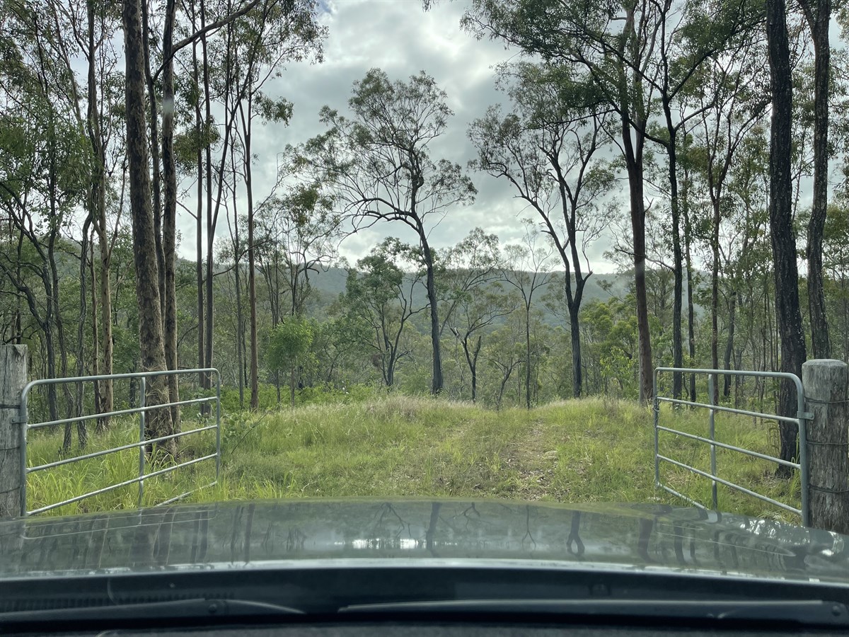 Gate QLD @ BOG Places