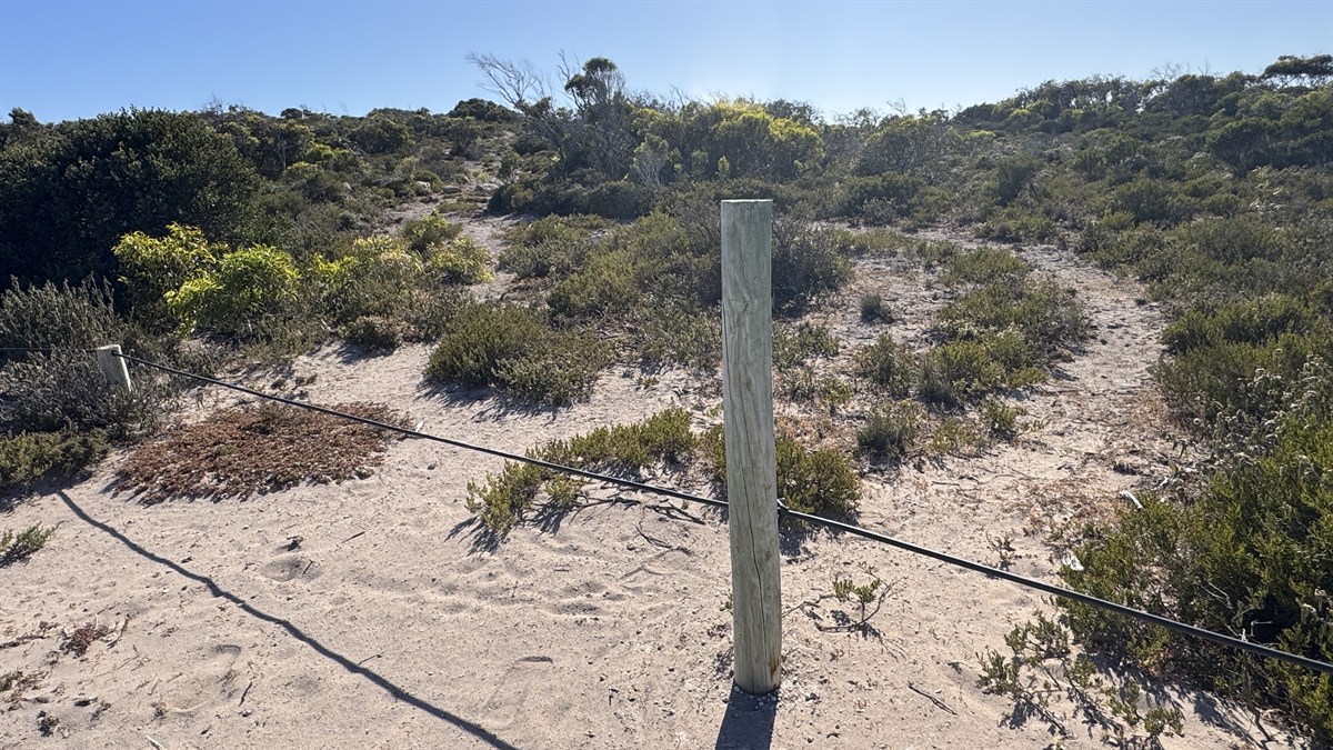 Tracks closed SA @ BOG Places
