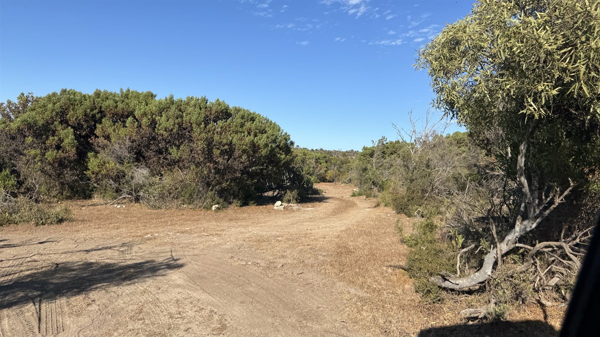 Big Yangie Bay Campground SA @ BOG Places