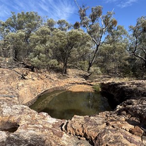 Rock Pool QLD @ BOG Places