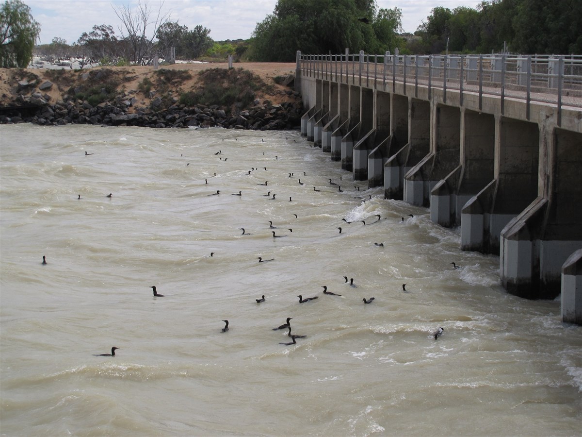 Lake Menindee NSW @ BOG Places