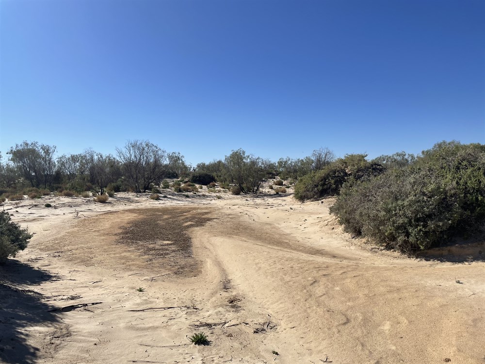 Strzelecki Track @ BOG Treks