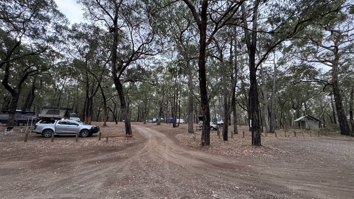 Sawpit Camp VIC @ BOG Places
