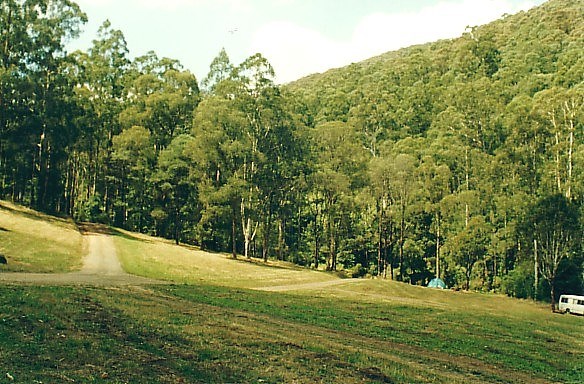 Toorongo Falls Campground VIC @ BOG Places